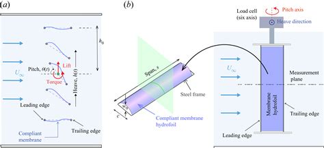 Fluid Structure Interactions Of Energy Harvesting Membrane Hydrofoils Journal Of Fluid