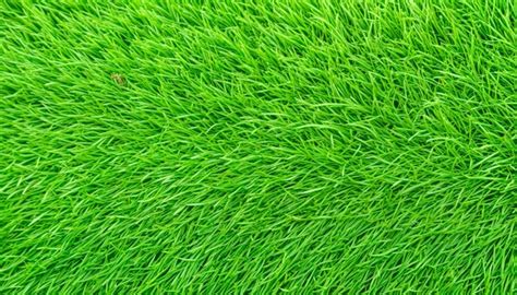 Premium Photo Fresh Green Grass Lawn Texture Background