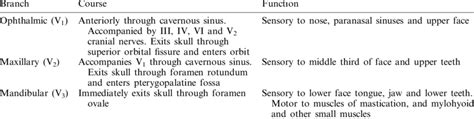 Divisions Of The Trigeminal Nerve Download Table