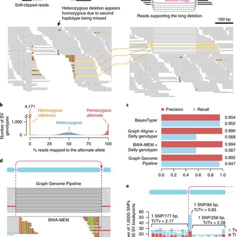 Variant Calling Benchmarking Between Graph Genome Pipeline And