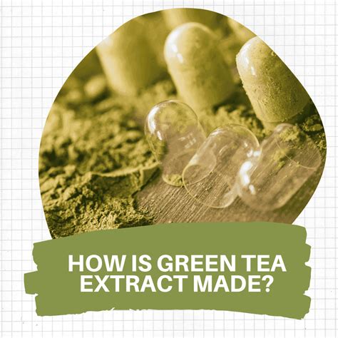 Matcha Vs Green Tea Extract Which Is Better For Weight Loss