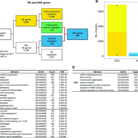 Differential Expression Analysis At Gene And Transcript Level A Download Scientific Diagram