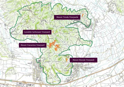 Soave Classico Area Vineyards Inama