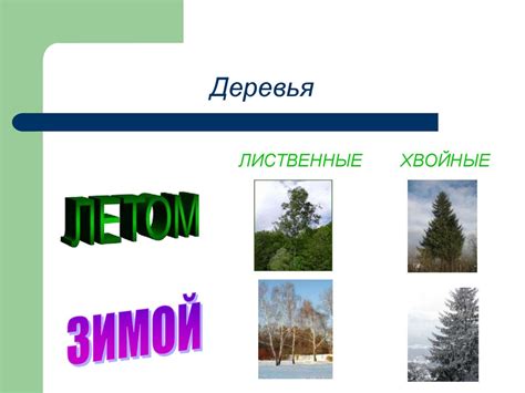 Леса нашего края Окружающий мир 2 класс презентация онлайн