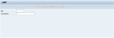 RZ SAP Tcode Remote Execution Of Transactions