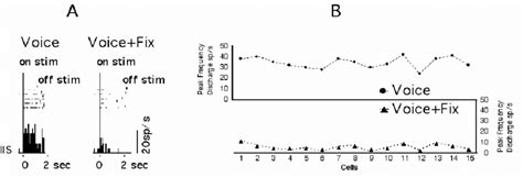 Inhibitory Effect Of Visual Fixation On Auditory Cells Left Example