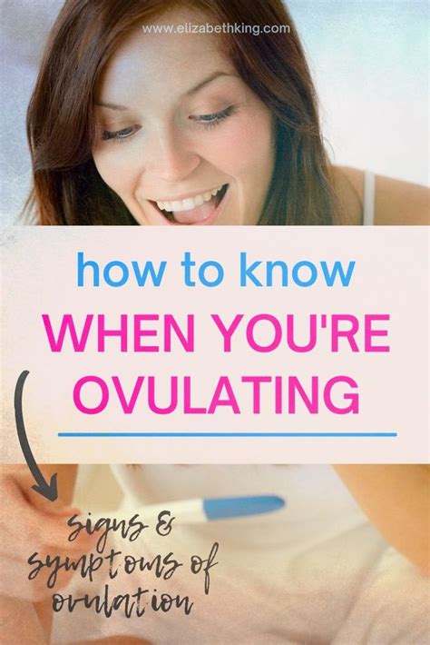 Understanding Ovulation Artofit Understanding Ovulation Artofit