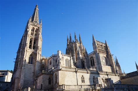 [산티아고술례길]달달하고 쌉싸래한 주정 강화 와인 발견