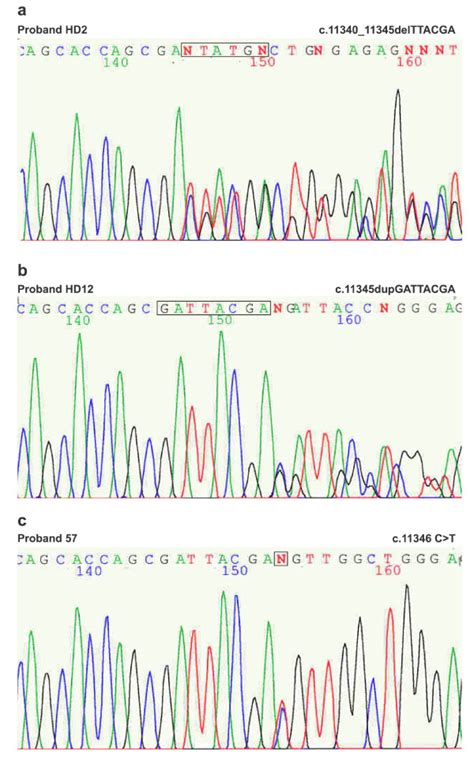 The Area Of Frequent Mutationspolymorphisms In The Pkd1 Gene A