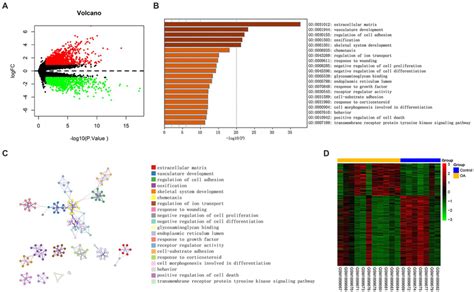 differentially expressed genes associated with oa a volcano plot of