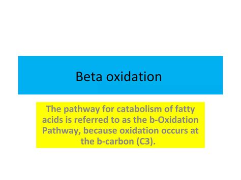 Beta Oxidation Ppt Endocrine And Metabolic Diseases Diseases And Conditions
