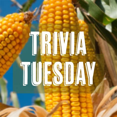 Corn Quiz Trivia Questions And Answers Trivia Questions And Answers Trivia Questions Trivia