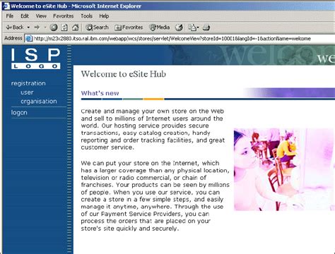 Overview E Commerce Hosting Solutions Guide Using WebSphere Commerce
