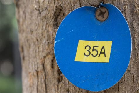 PythonでWebページ内の特定のタグ要素をまとめて取得する 隣IT