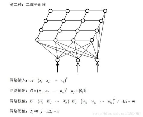 什么是自组织特征映射网络？ Csdn博客