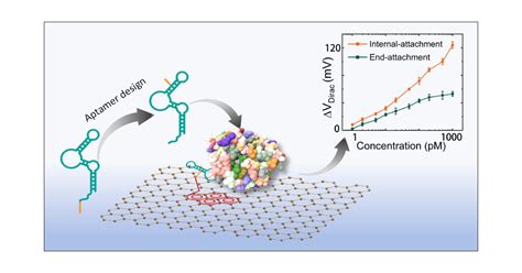An Internally Attached Aptameric Graphene Nanosensor For Sensitive Vasopressin Measurement In