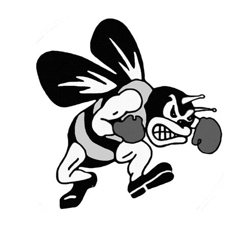 Softball Game Preview Bath Fighting Bees Vs Fowler Eagles