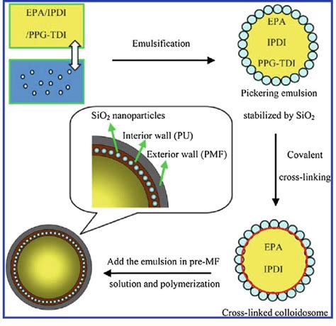 Fabrication Of Microcapsules Loaded With Epa With Hybrid Shell Walls Download Scientific