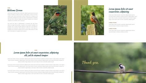 Bird Powerpoint Templates 4 Presentation