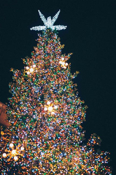 საქართველოს თბილისის მერია Tbilisi City Hall Facebook