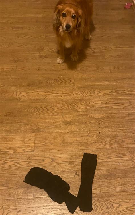 Groundhog A Dad Trying To Cope With The Loss Of His Partner And