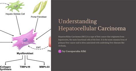 Understanding Hepatocellular Carcinoma