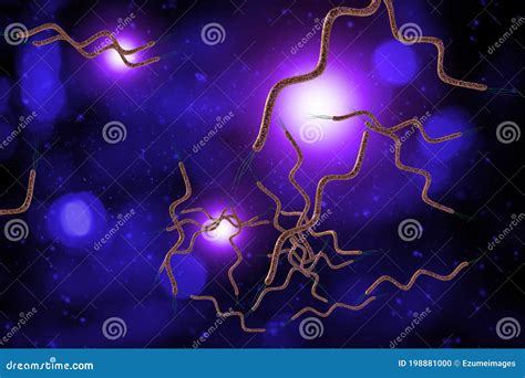 Spirilla Bacteria 3d Illustration Stock Illustration Illustration Of
