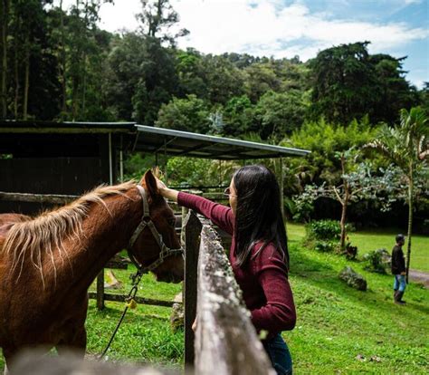 8 Días En Tierras Altas Panama Montañas Sabor Y Café