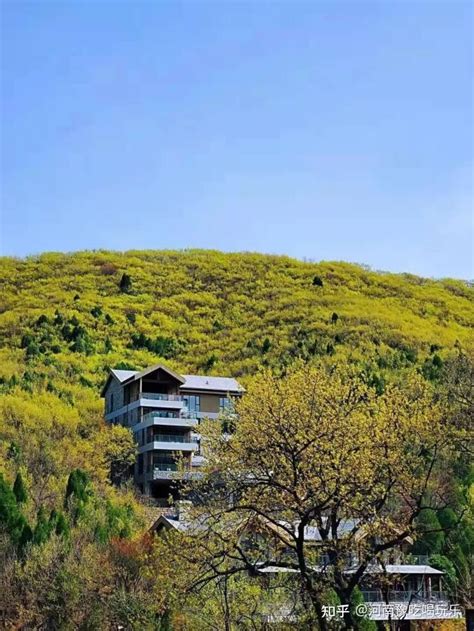 堪称郑州小莫干山的宝藏亲子度假民宿 里山明月度假酒店 知乎