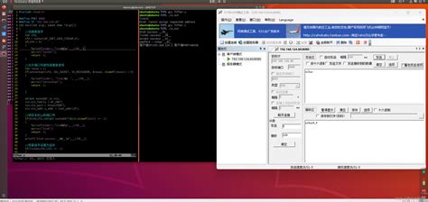 构建tcp服务器：信息传输与接收详解 Csdn博客