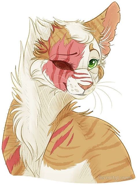 Brightheart Is Beautiful Cat Brightheart Is Beautiful Warrior
