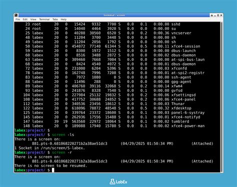 How To Terminate A Linux Screen Session Labex