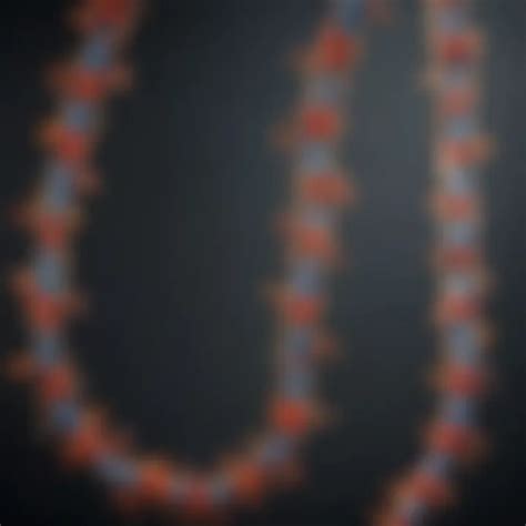 The Light Chains Of Antibodies Explained