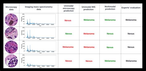 misclassified cases by unimodal algorithms from the held out test set