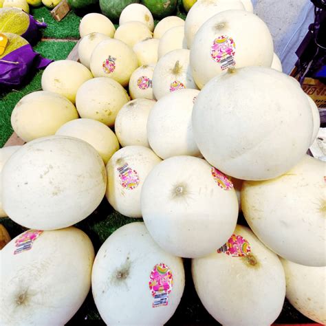Australia Sugar Candy Melon Fresh Fruits Singapore Fruits Express