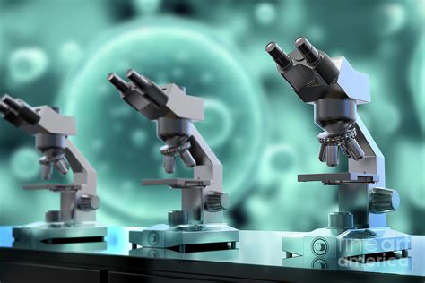 Evidence Of Light Microscopes At David Trumper Blog