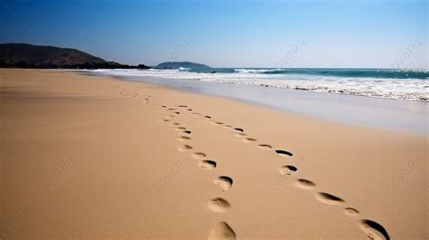 발자국 모래 이미지 사진 및 Png 일러스트 무료 다운로드 Lovepik