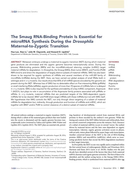 Pdf The Smaug Rna Binding Protein Is Essential For Microrna Synthesis During The Drosophila