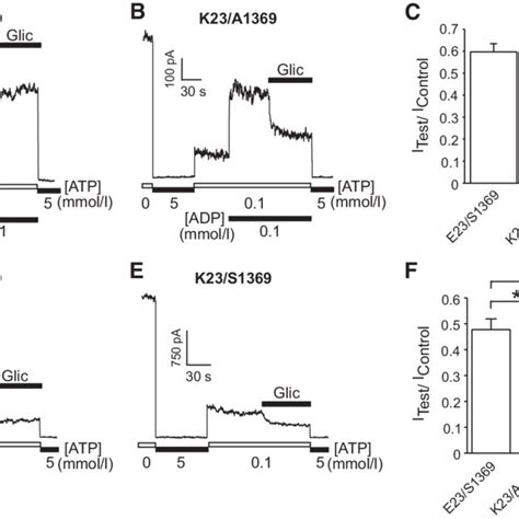 The Increased Gliclazide Sensitivity Of K23a1369 Variant K Atp Download Scientific Diagram