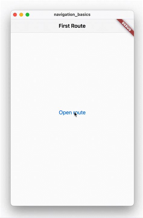 Navigate To A New Screen And Back Flutter
