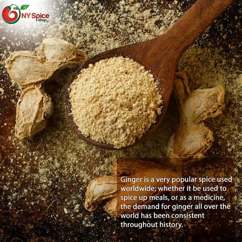 Ny Spice Shop Ginger Powder 08 Ounce Ground Ginger Root Powder Great Flavor Highly