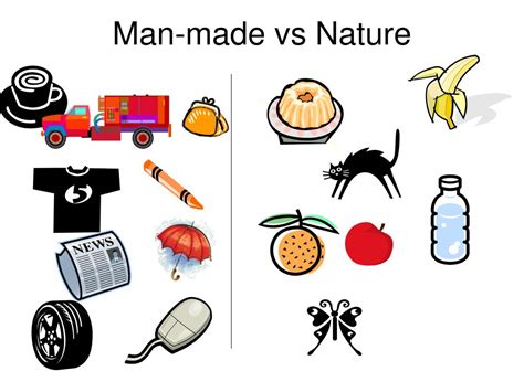 ppt let s sort these items powerpoint presentation free download id 2745745