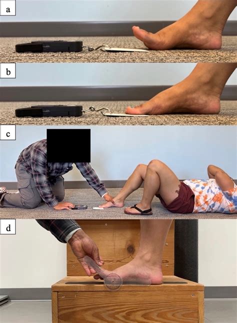 Leg Dynamometer Test Procedure