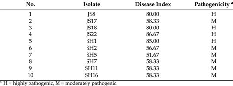 Pathogenicity Of Isolates Of Pythium Aristosporum Isolated From Rice Download Scientific