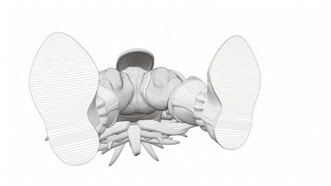 Raditz From Dragon Ball 3d Model Cgtrader