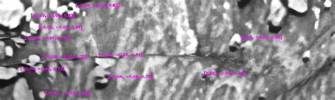 3d feature position estimates from nest dataset download scientific