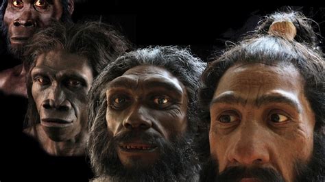 What Did The First Humans Look Like