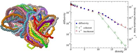 Cluster Glasses Of Semiflexible Ring Polymers Abstract Europe Pmc
