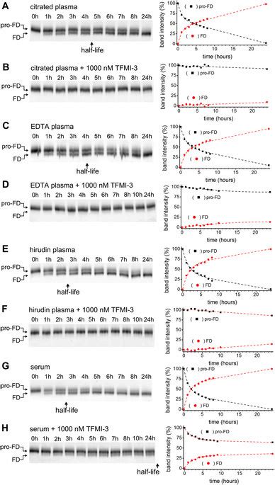 Inhibition Of Pro Fd Activation By Tfmi 3 Conversion Of Cy3 Labeled