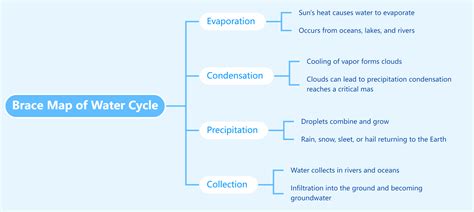 Free Mind Map Template Brace Map Of Water Cycle